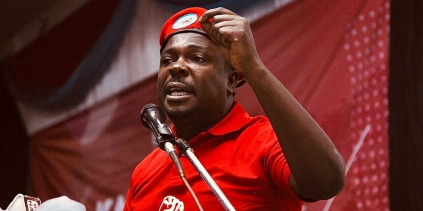 Makamu mwenyekiti wa CHADEMA bara amtetea Lissu - KBC Swahili