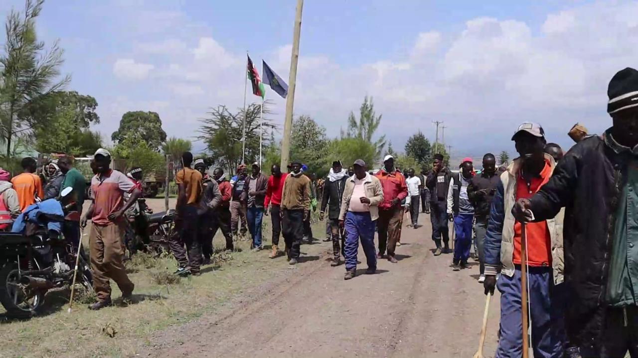 Wakazi wa Laikipia walalamikia ongezeko la visa vya wizi wa mifugo ...